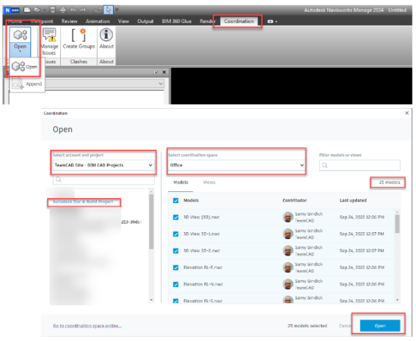 עדכון ויצירת Views עבור ACC Coordination - TeamCAD
