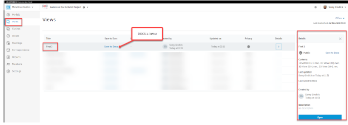 עדכון ויצירת Views עבור ACC Coordination - TeamCAD